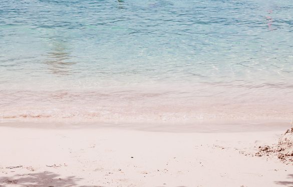 Pto Cabello: 5 cosas que debes saber antes de ir a Isla larga - MichelleUz